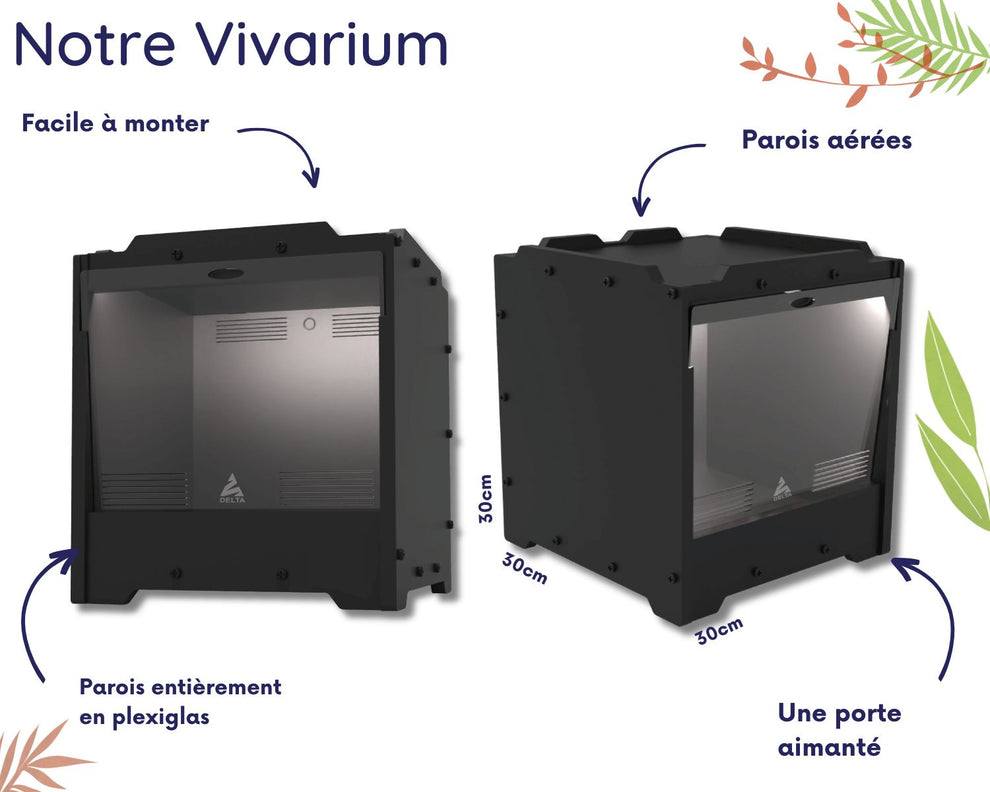 Vivarium Phasmes - DELTA BUGZ30 – L'insecterie